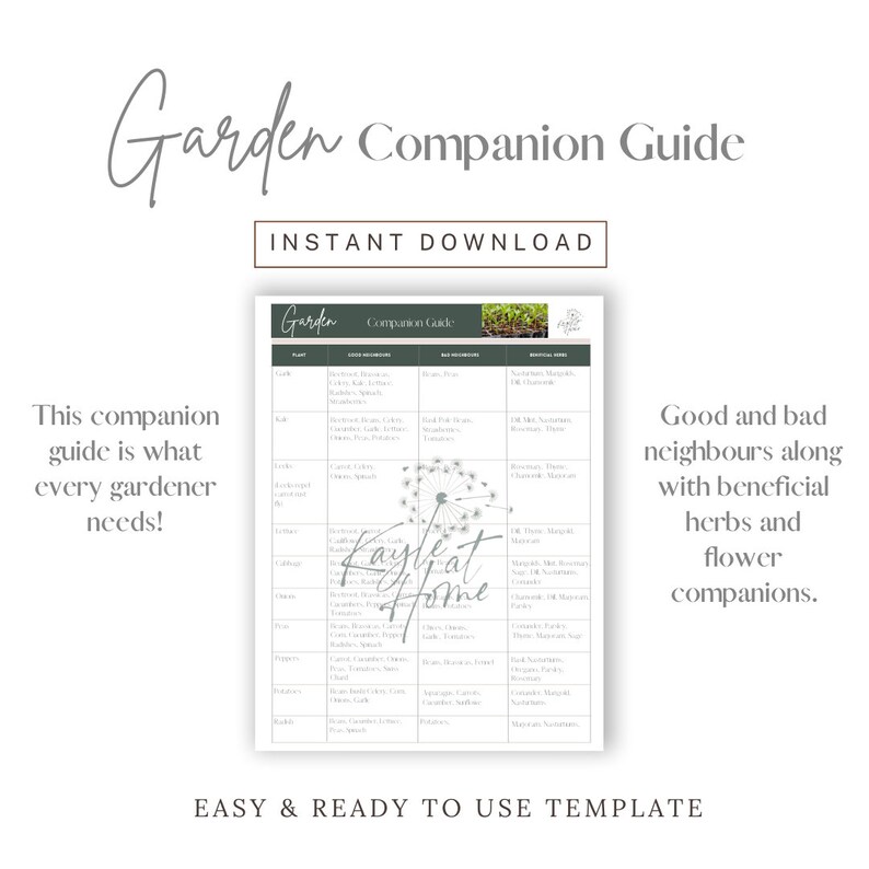 Companion Planting Guide: Vegetable Garden Planner (A4 PDF) - Etsy