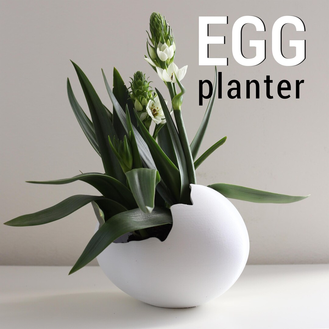 Egg Shaped Planter Whimsical Ceramic Plant Pot for Indoor and Outdoor ...