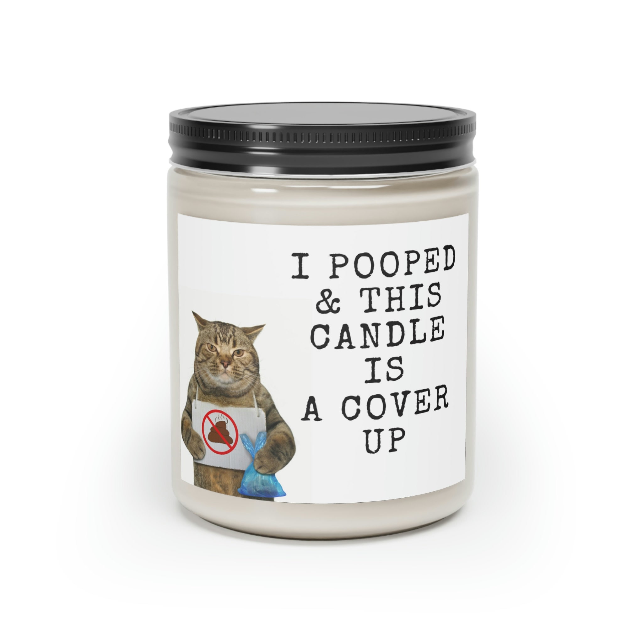 Funny Bathroom Soy Candle, Gag Gift, Poop Humor, Sarcasm, White ...