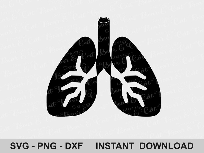 Lung SVG Instant Digital Download, Human Lung Clipart, Lungs Silhouette ...