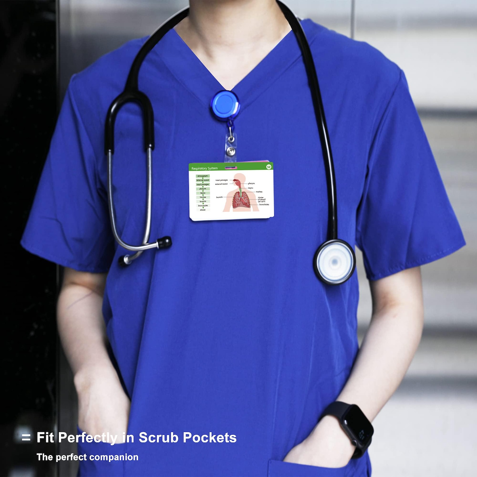 Nursing Badge Reference Cards: School Essentials Set With Cheat Sheets - Etsy