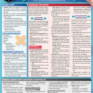 Wound Care: A Quickstudy Laminated Reference Guide Nurse in the Making ...