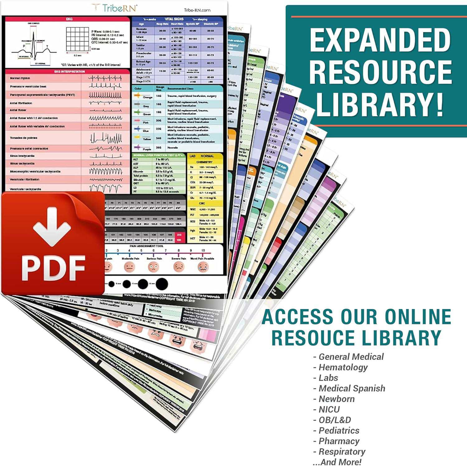 Nursing Cheat Sheet Cards 108 Quick Access Reference Cards - Etsy