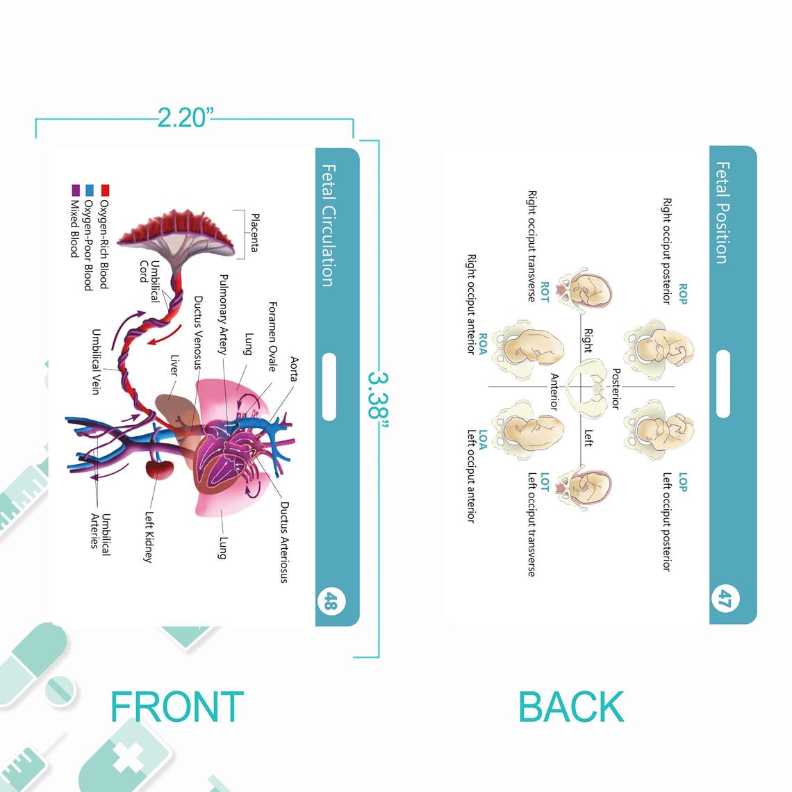Nursing Badge Reference Cards: School Essentials Set With Cheat Sheets - Etsy