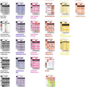 Nurse Nation 30 Vertical Nursing Badge Reference Cards - Lab Values ...