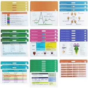 Nursing Badge Reference Cards: School Essentials Set With Cheat Sheets ...