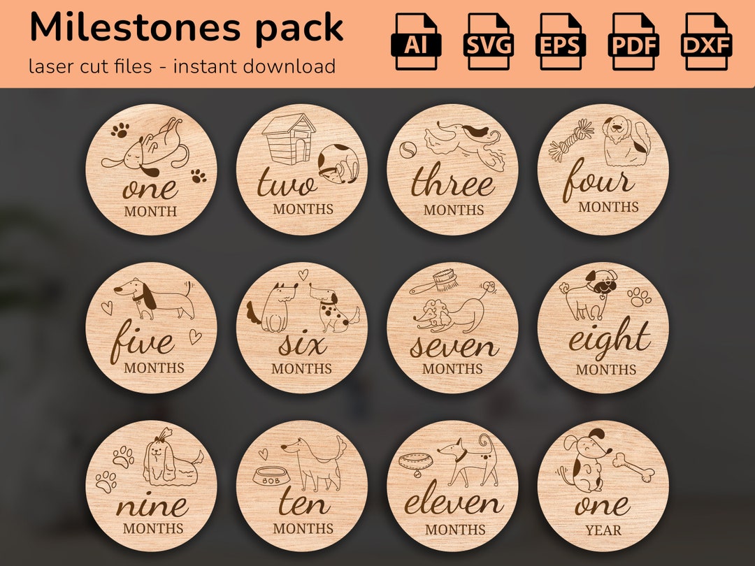 Cute Dogs - 12 Hand Drawn Monthly Baby Milestones SVG | Set From Months ...