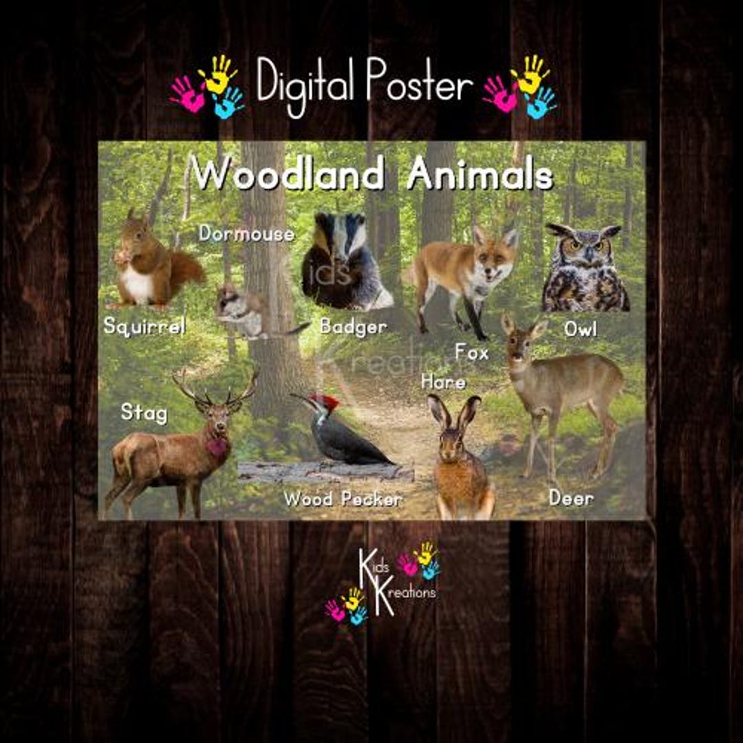 Printable - Digital Download - Early Years - Poster - Beach ...