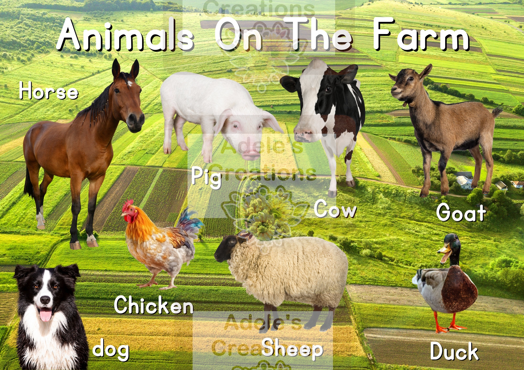 Printable Digital Download Early Years Poster Animals Childminder ...