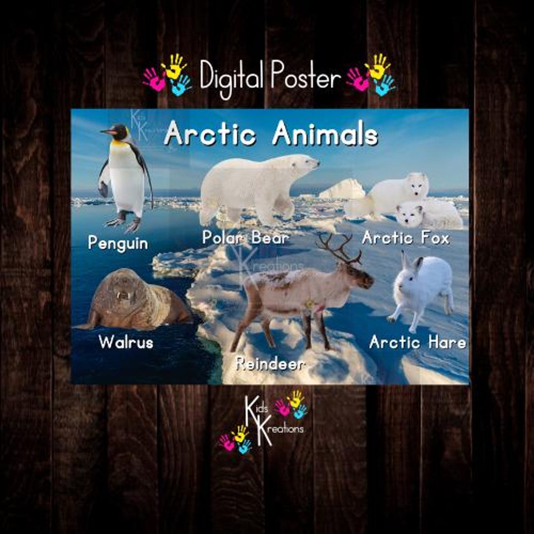 Printable - Digital Download - Early Years - Poster - Animals ...