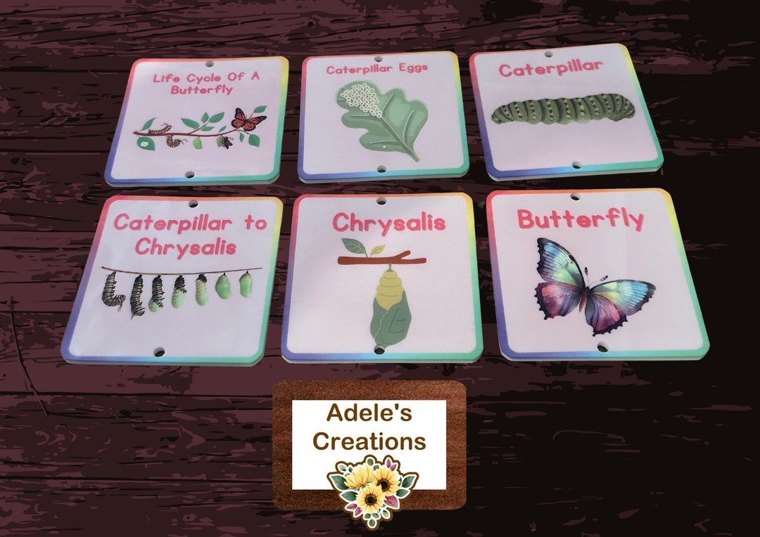 Flash Cards Life Cycle Early Years Garden Signs Butterfly Waterproof ...