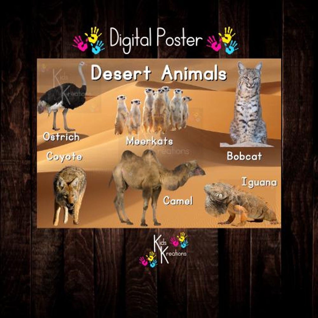 Printable - Digital Download - Early Years - Poster - Beach ...