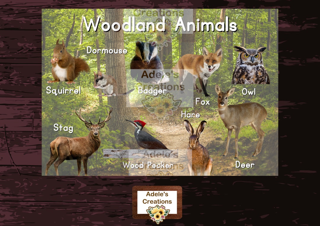 Printable Digital Download Early Years Poster Beach Childminder ...