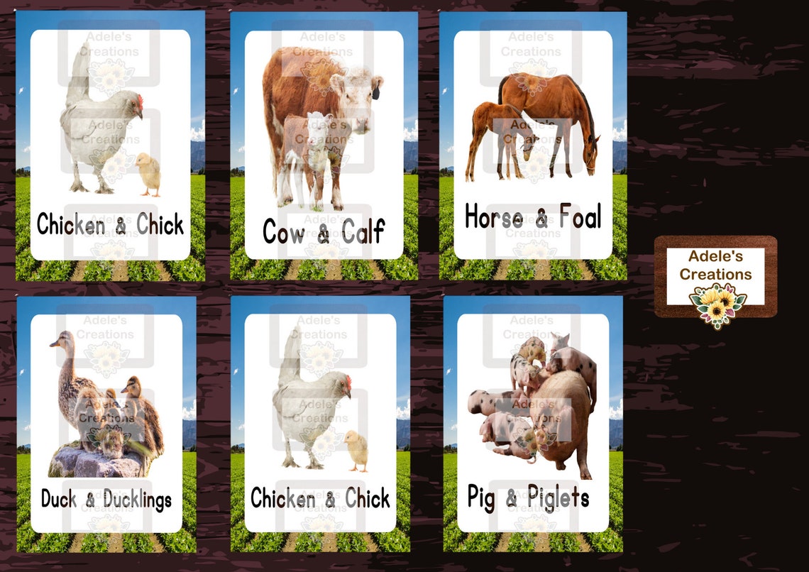 Farm Animal Flashcards, Digital Download, Farm Flashcards, Chicken Life ...
