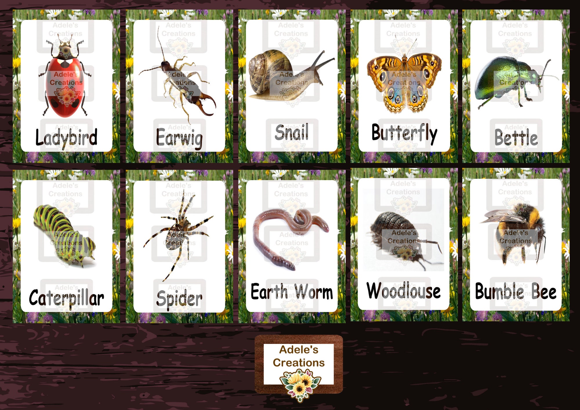 Mini Beast Flashcards, Digital Download, Minibeasts, Flashcards, Frog ...