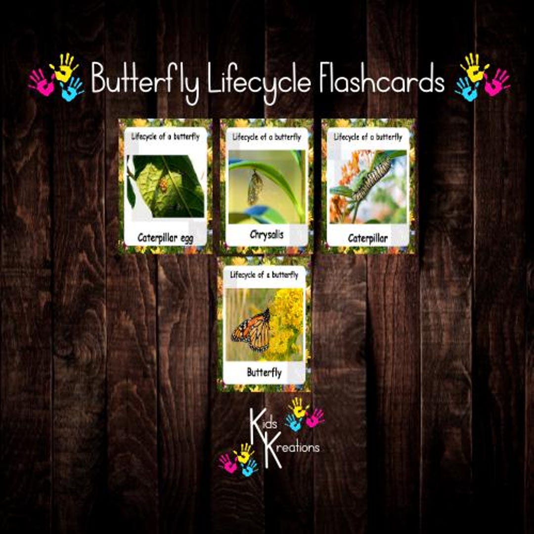 Butterfly Lifecycle Flashcards, Digital Download, Flashcards, Butterfly ...