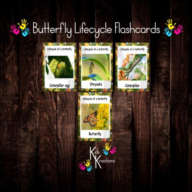 Butterfly Lifecycle Flashcards, Digital Download, Flashcards, Butterfly ...