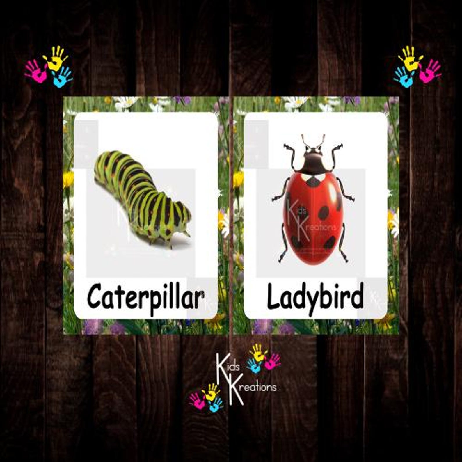 Mini Beast Flashcards, Digital Download, Minibeasts, Flashcards, Frog ...