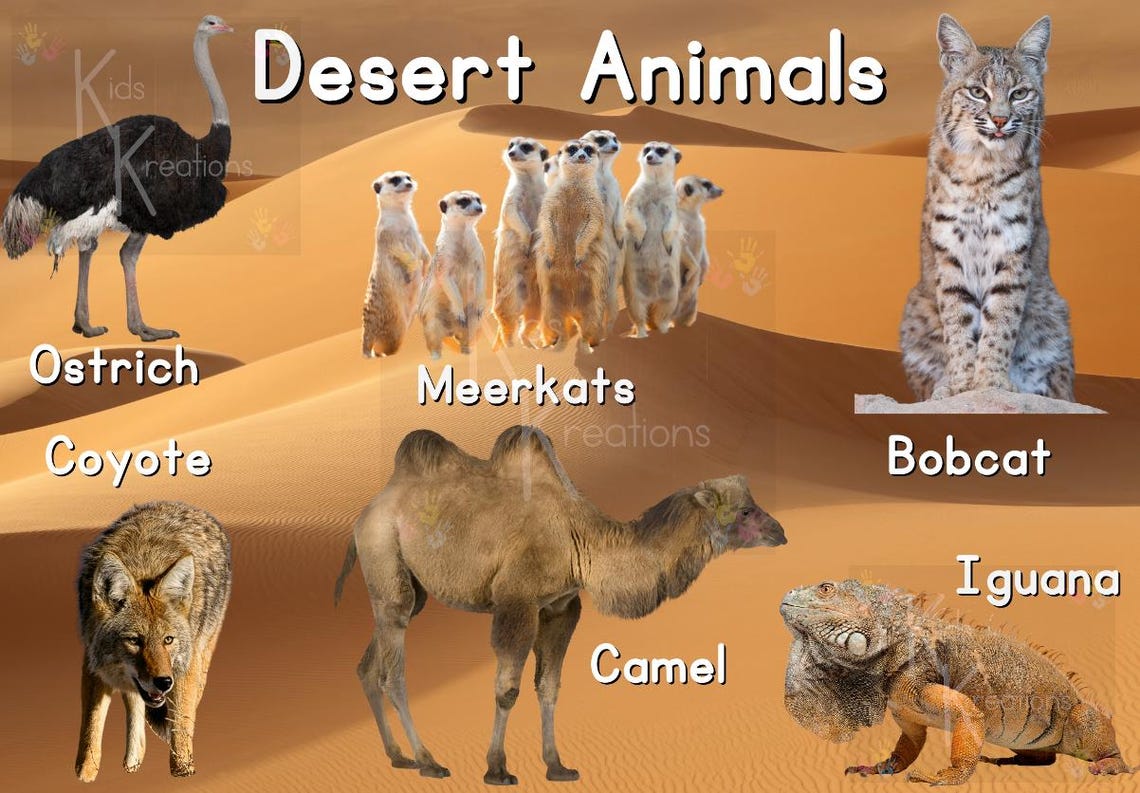 Printable - Digital Download - Early Years - Poster - Beach ...