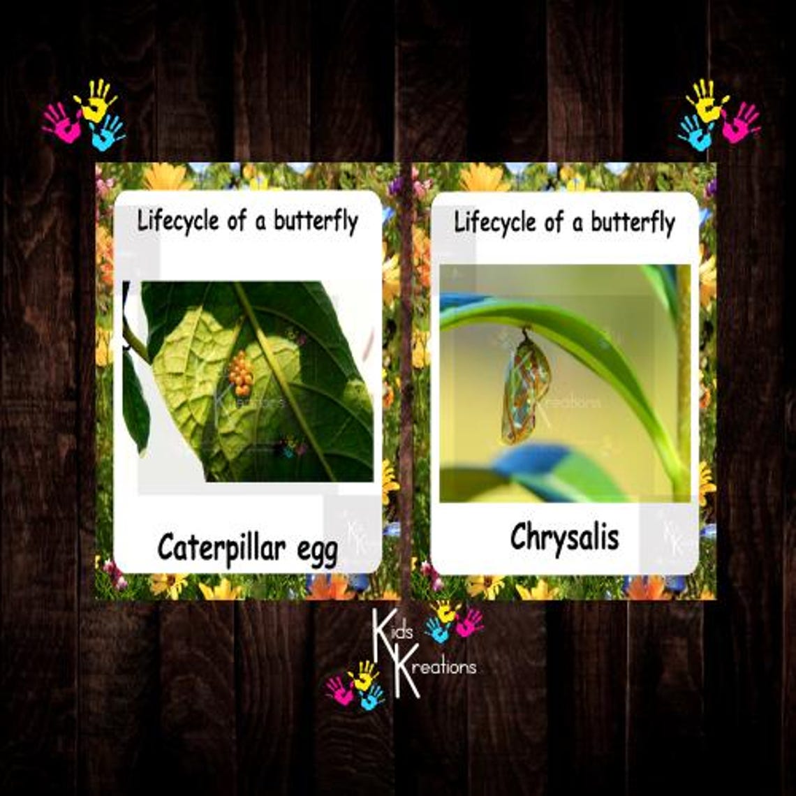 Butterfly Lifecycle Flashcards, Digital Download, Flashcards, Butterfly ...