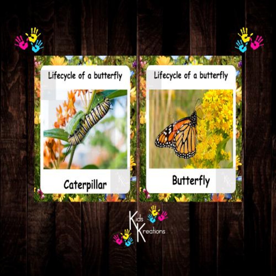 Butterfly Lifecycle Flashcards, Digital Download, Flashcards, Butterfly ...