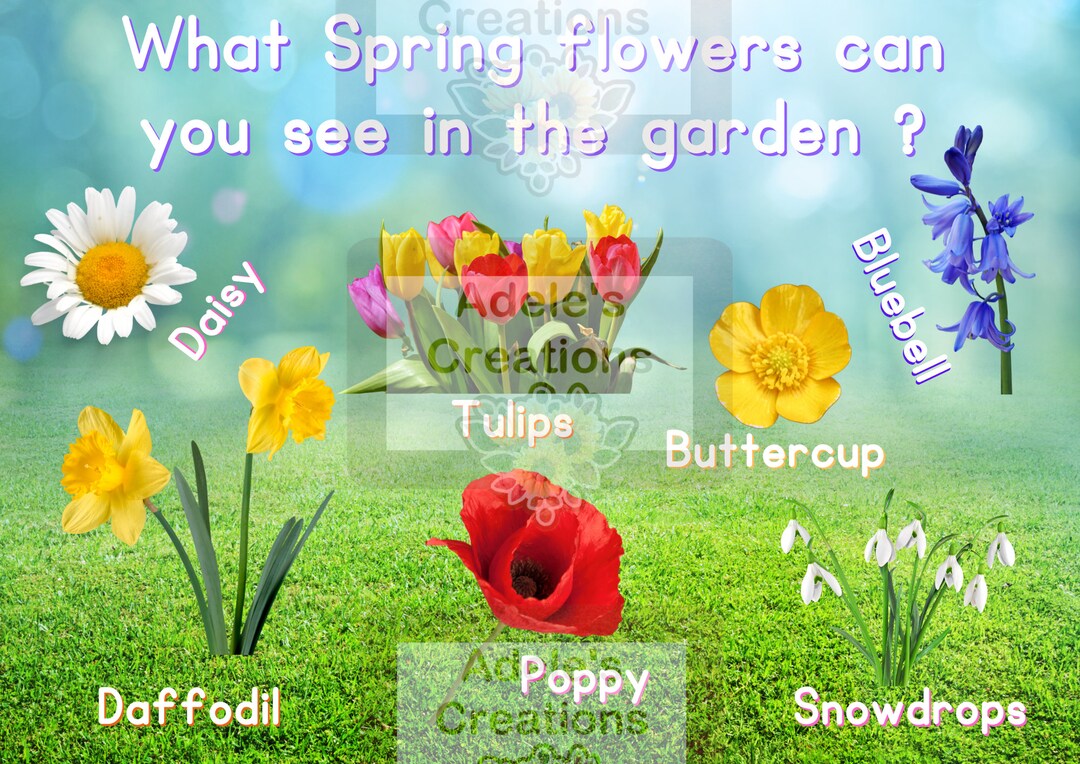 Printable Digital Download Early Years Poster Beach Childminder ...