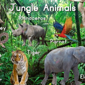 Printable - Digital Download - Early Years - Poster - Beach ...