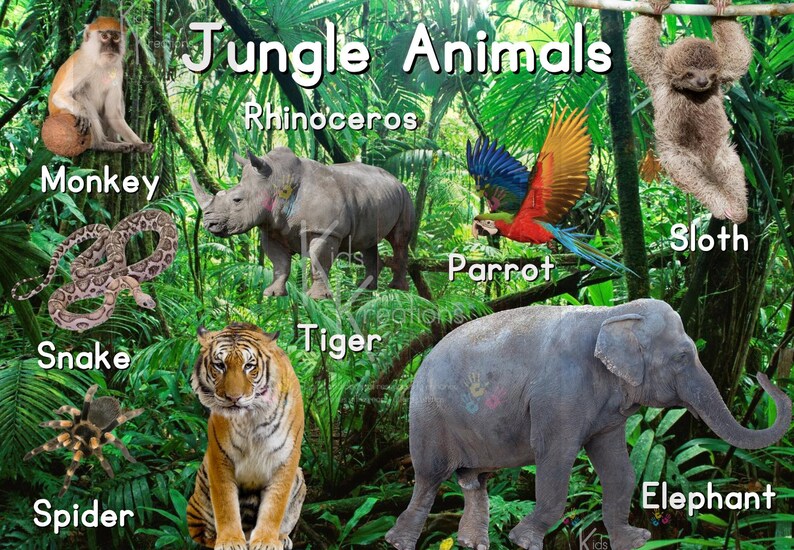 Printable - Digital Download - Early Years - Poster - Beach ...