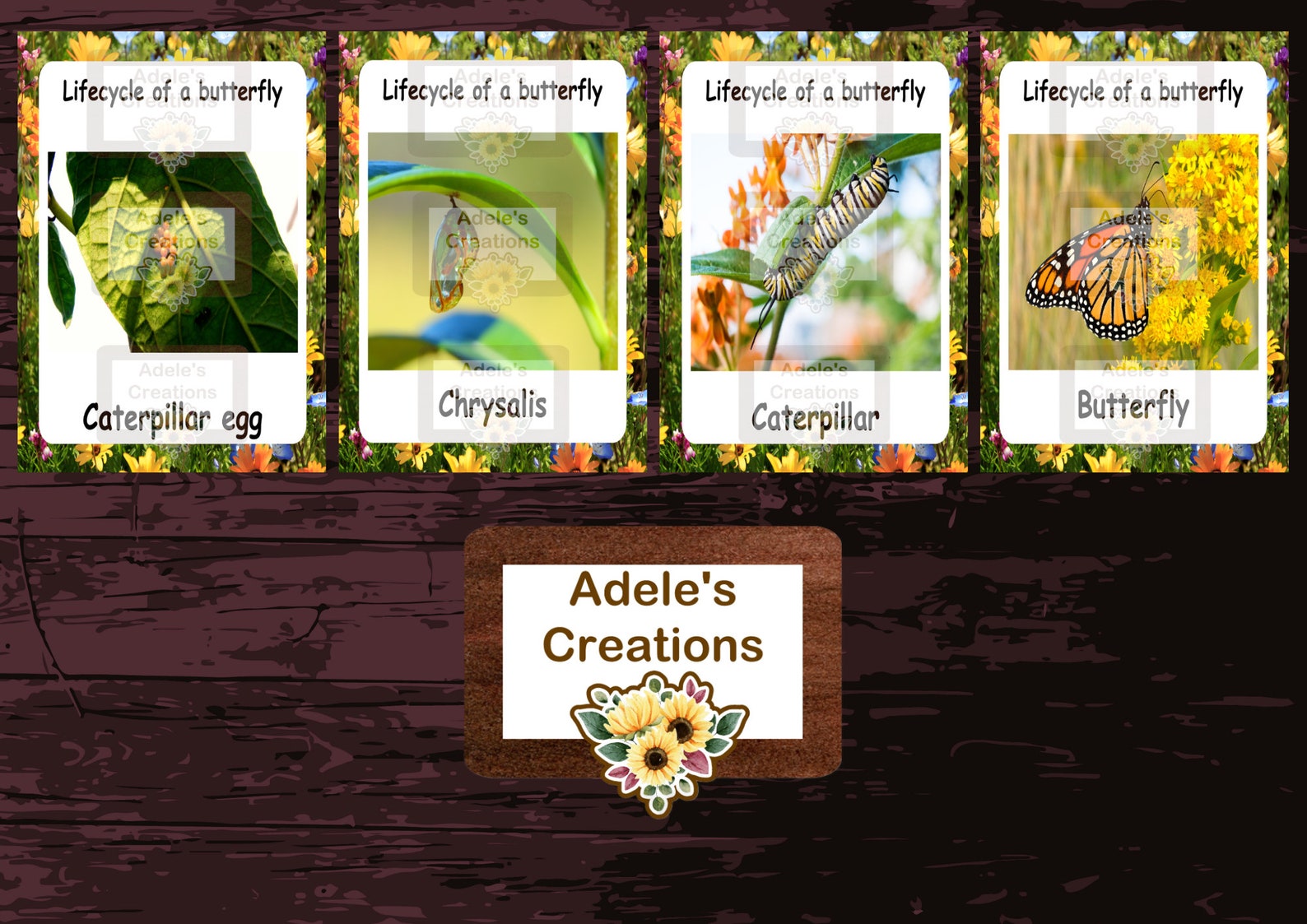 Butterfly Lifecycle Flashcards, Digital Download, Flashcards, Butterfly ...