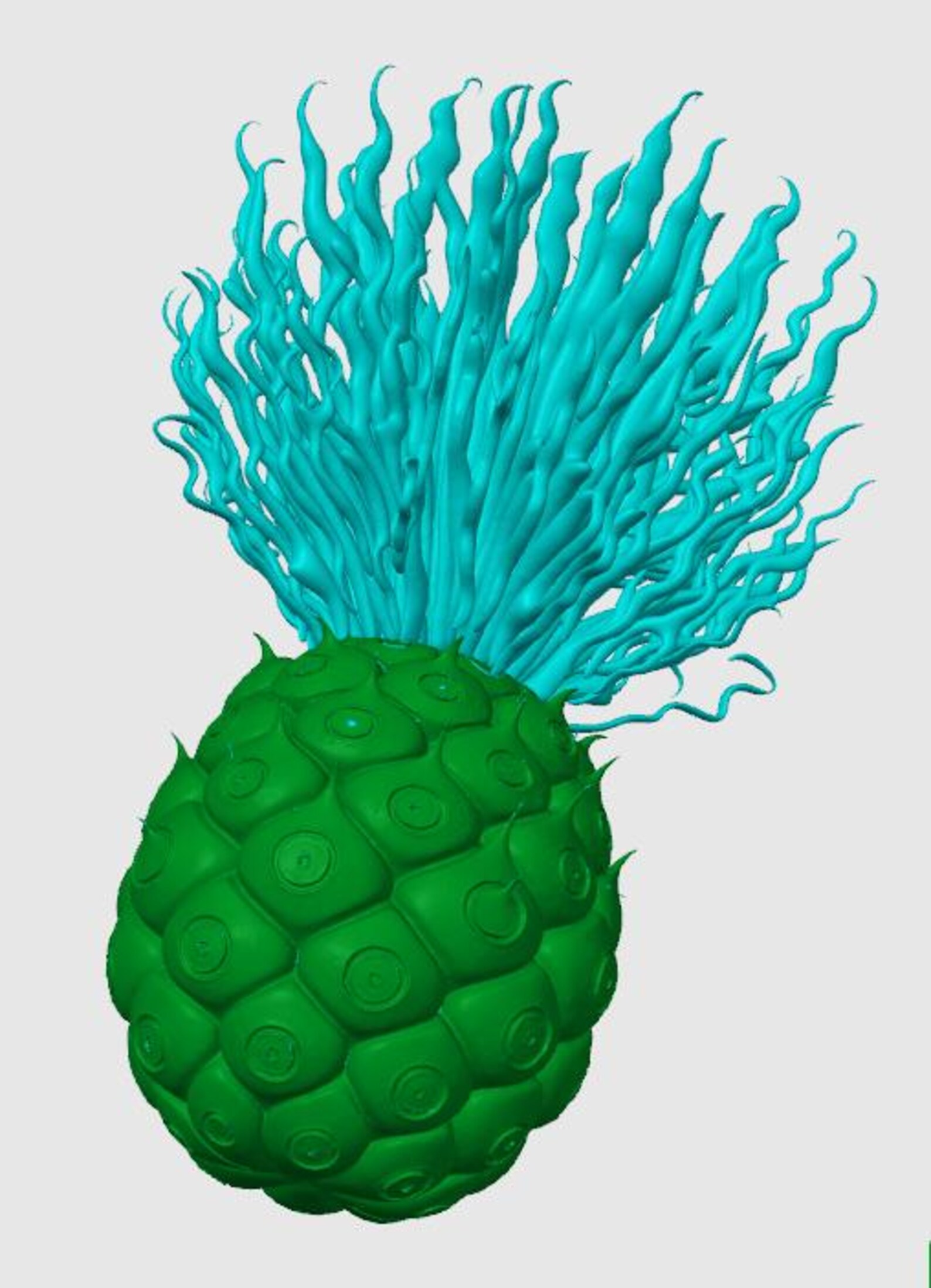 Tori Tori No Mi Devil Fruit STL | Bird Bird Fruit Marco 3D Model | One ...