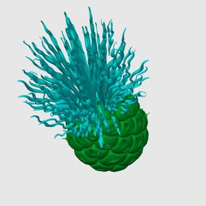 Tori Tori No Mi Devil Fruit STL | Bird Bird Fruit Marco 3D Model | One ...