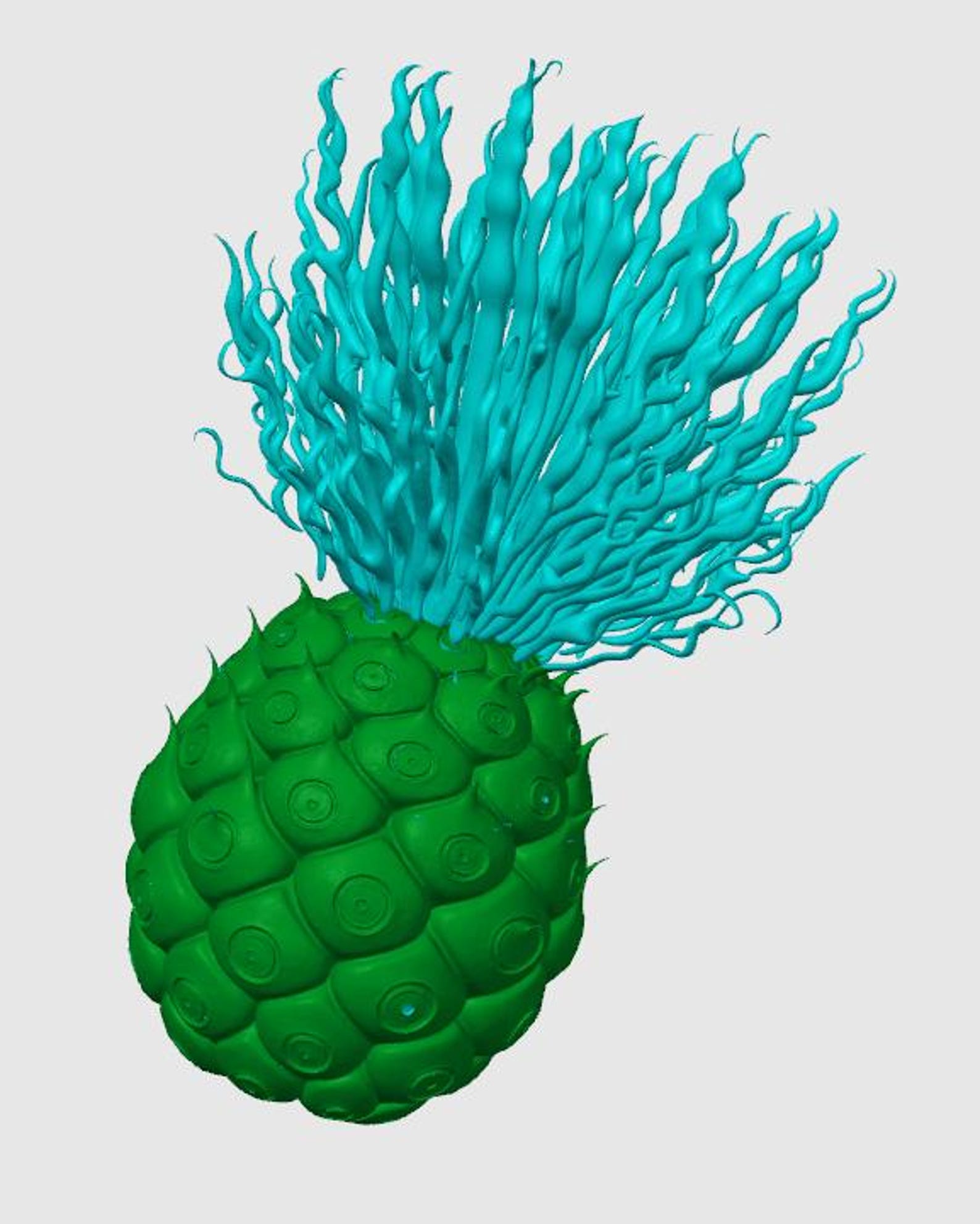Tori Tori No Mi Devil Fruit STL | Bird Bird Fruit Marco 3D Model | One ...