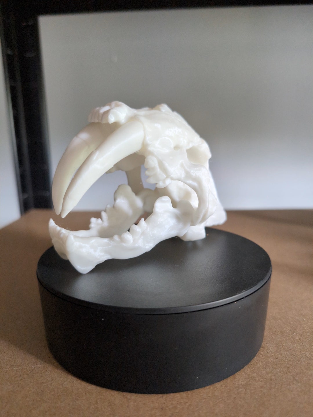 3D Printed Sabertooth Skull Skeleton Realistic Fossil Replica With ...