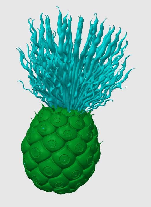 Tori Tori No Mi Devil Fruit STL | Bird Bird Fruit Marco 3D Model | One ...