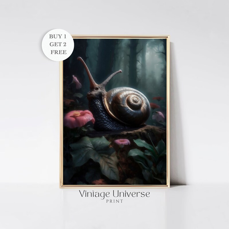 Snail Art Print - Etsy