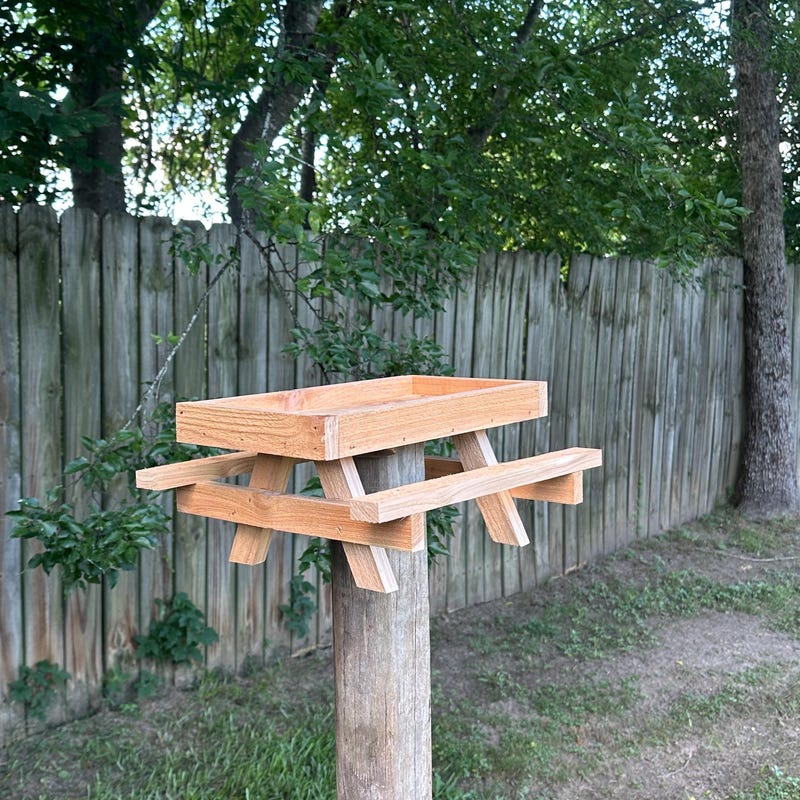 Squirrel Bench - Etsy