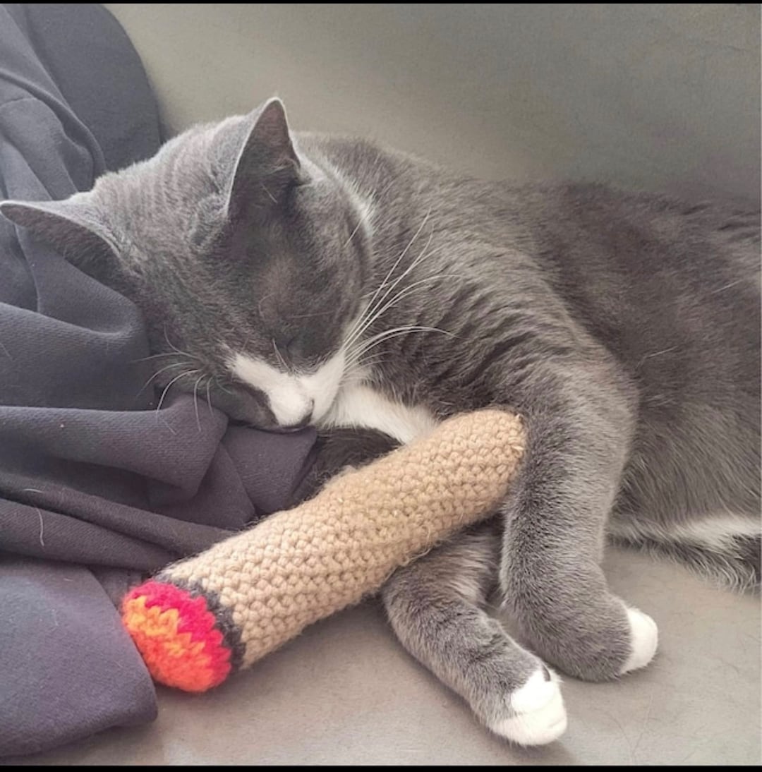 Catnip Doobie Kicker, Catnip Joint, Catnip Cat Toy Kicker, Catnip Blunt, Cat Toy, Cat Nip Cat ...