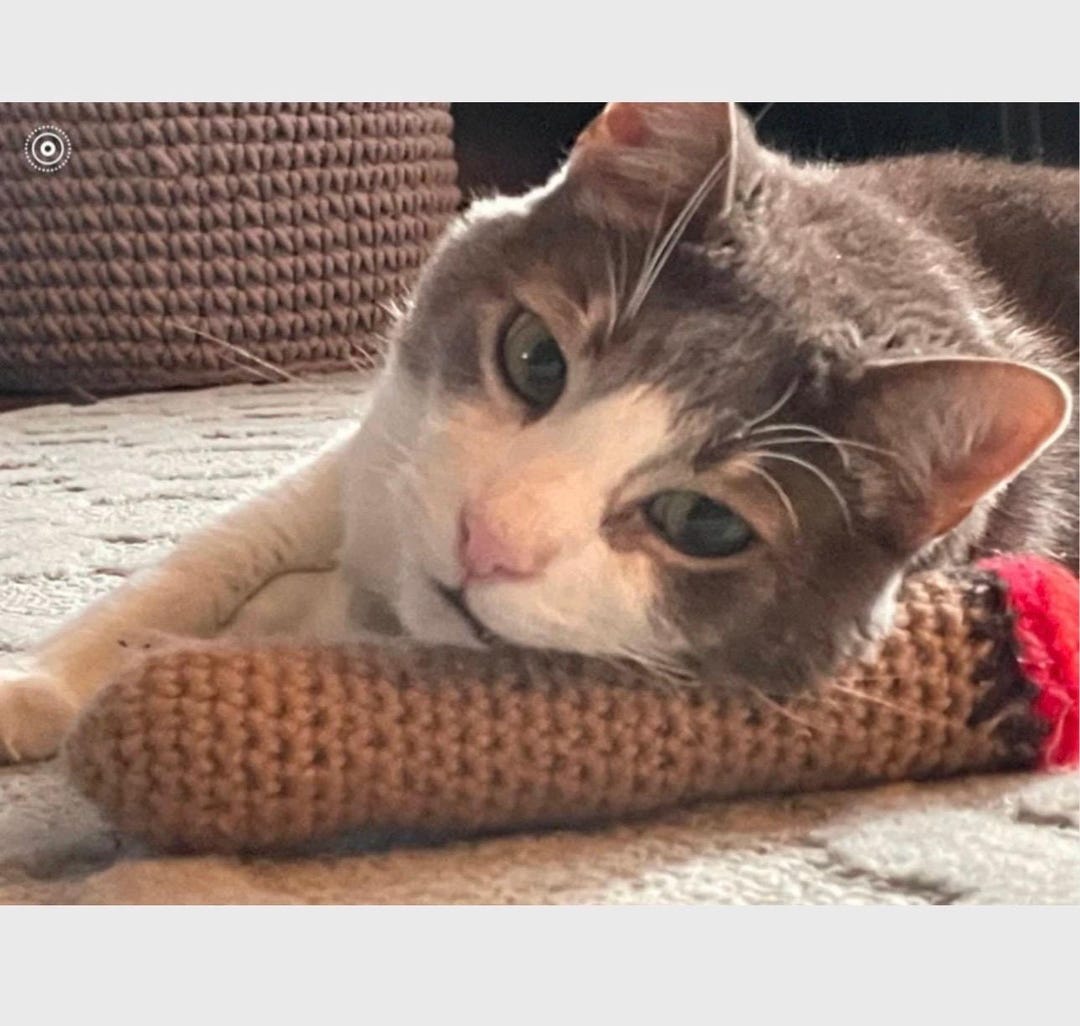 Cat Toy, Pet Toy, Catnip Doobie Kicker With Rattle, Catnip Joint ...