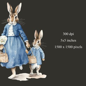 Peter Rabbit & Mum 15 PNG Beatrix Potter Style PNG Clip Art - Etsy