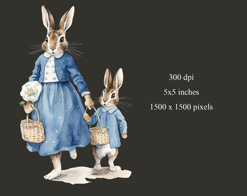Peter Rabbit & Mum 15 PNG Beatrix Potter Style PNG Clip Art - Etsy