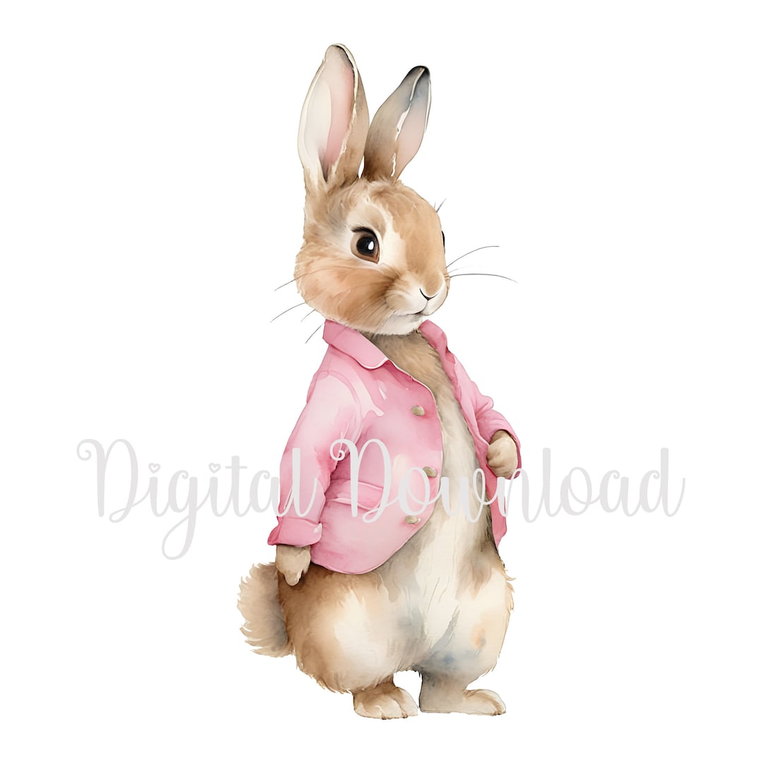 Flopsy Bunny PNG, Animal Sublimation Design, Beatrix Potter Style, Baby ...