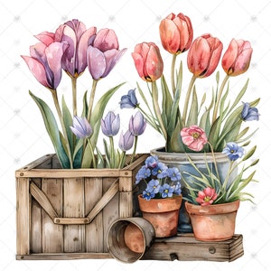 10 Tulips Flowers in Pots Clipart, Spring Flowers Clipart, Gardening ...