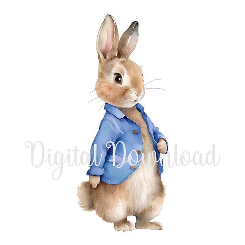 Peter Rabbit - Etsy