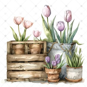 10 Tulips Flowers in Pots Clipart, Spring Flowers Clipart, Gardening ...