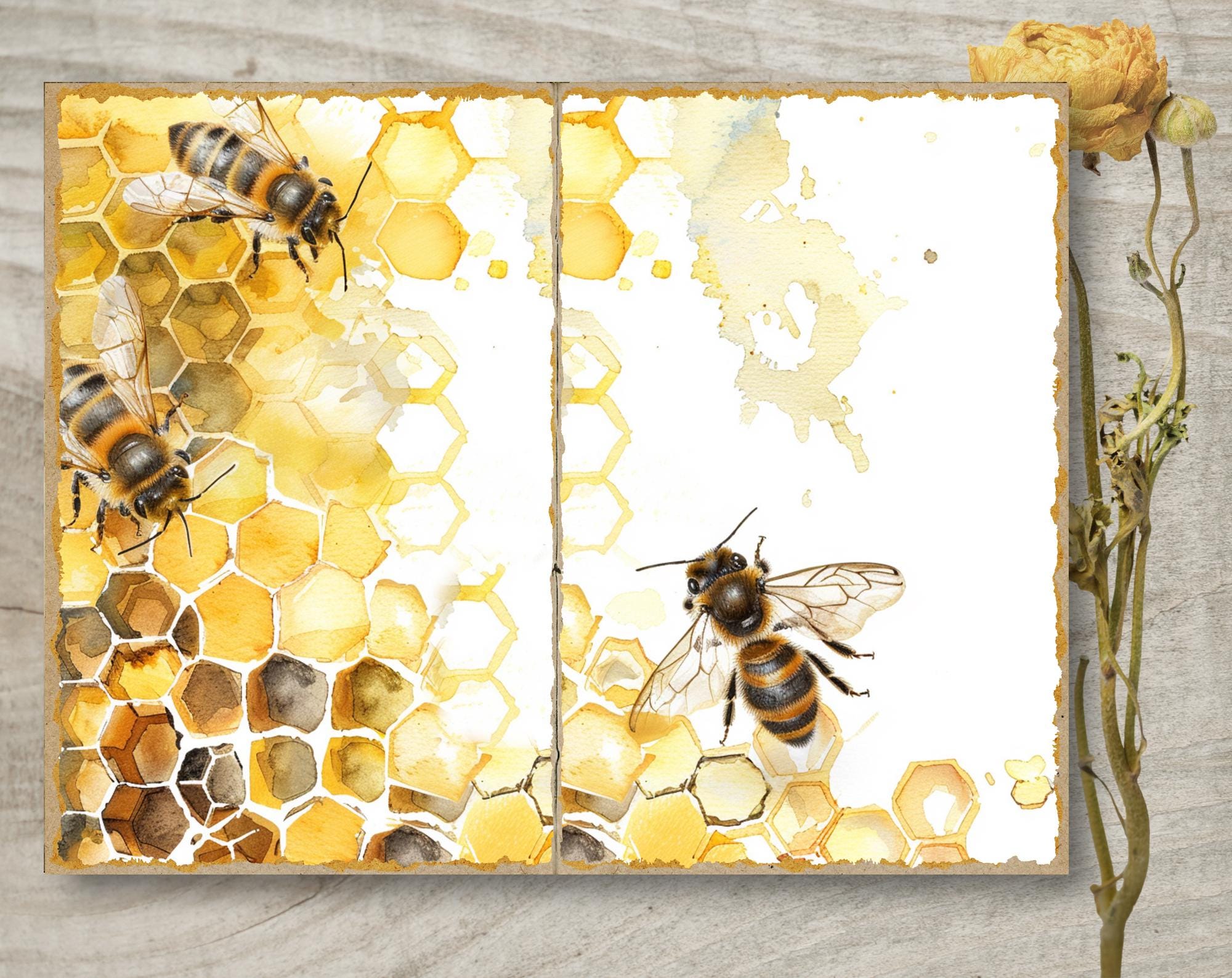 Bee Honeycomb Junk Journal Pages, Vintage Bee Junk Journal Kit, Junk ...