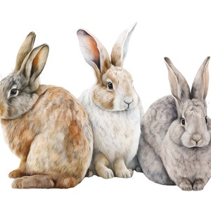 Watercolor Bunny 10 PNG 10 JPG, Bunny Clipart, Farm Animals, Easter ...