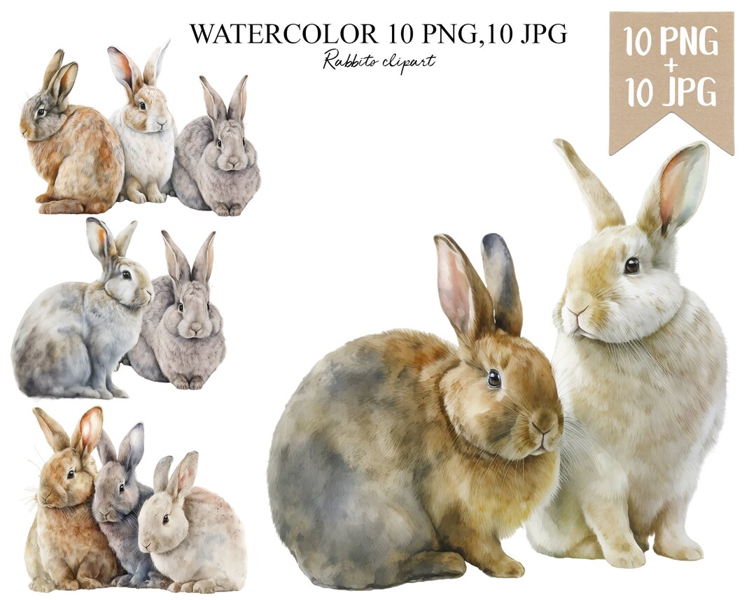 Watercolor Bunny 10 PNG 10 JPG, Bunny Clipart, Farm Animals, Easter ...