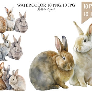 Watercolor Bunny 10 PNG 10 JPG, Bunny Clipart, Farm Animals, Easter ...