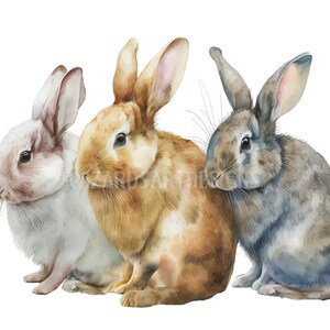 Watercolor Bunny 10 PNG 10 JPG, Bunny Clipart, Farm Animals, Easter ...