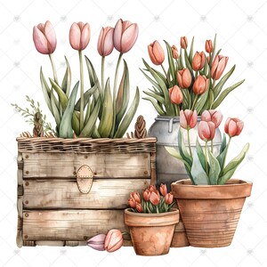 10 Tulips Flowers in Pots Clipart, Spring Flowers Clipart, Gardening ...